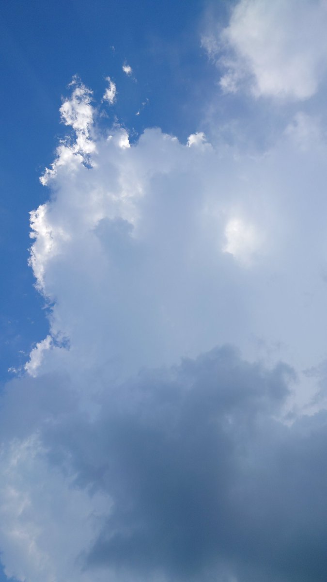 Ryusuke IMURA(@tigers_1964) - Twilog (ツイログ)