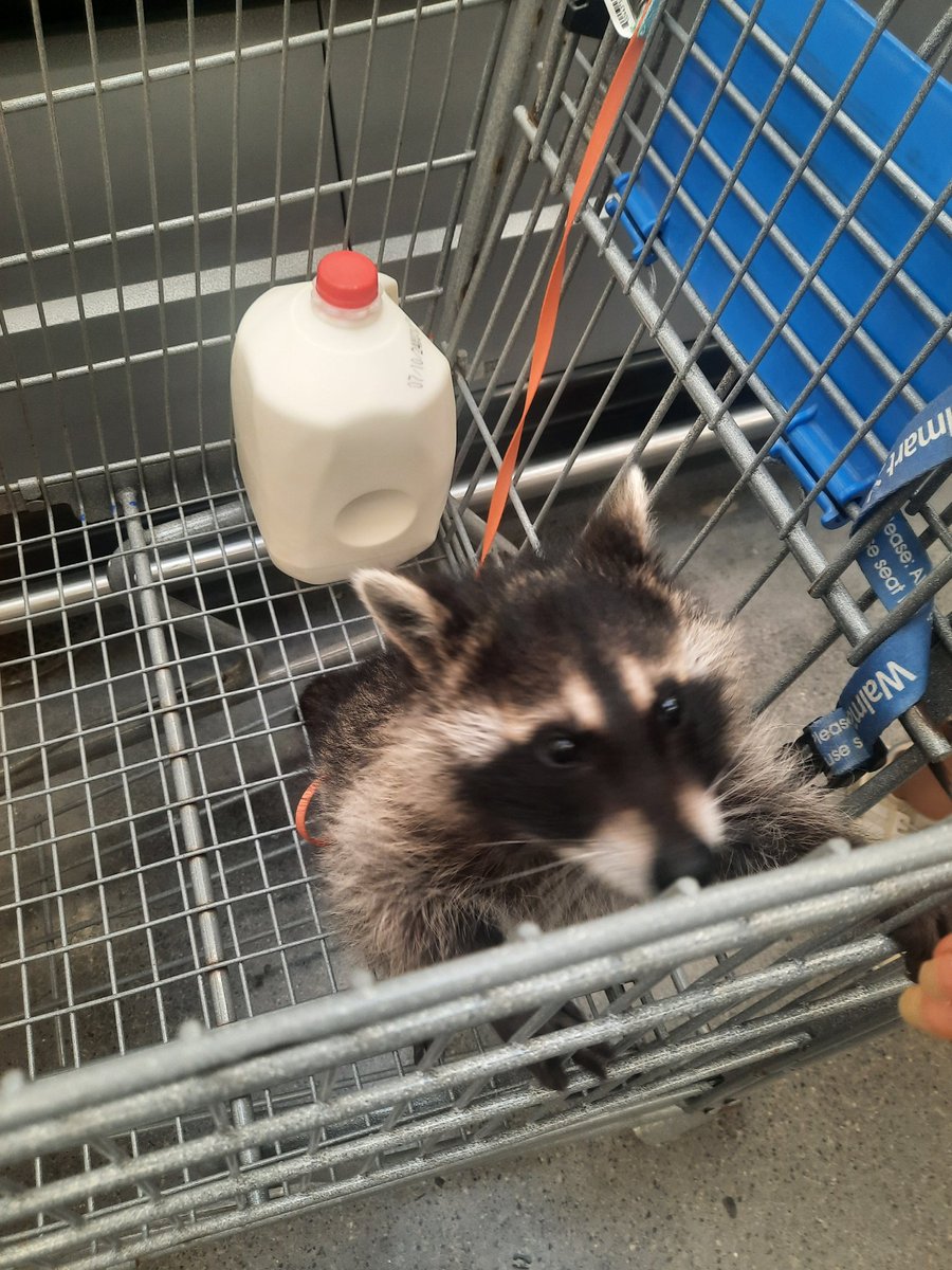 @ChibiReviews I actually work at Walmart in Tennessee this was from ...