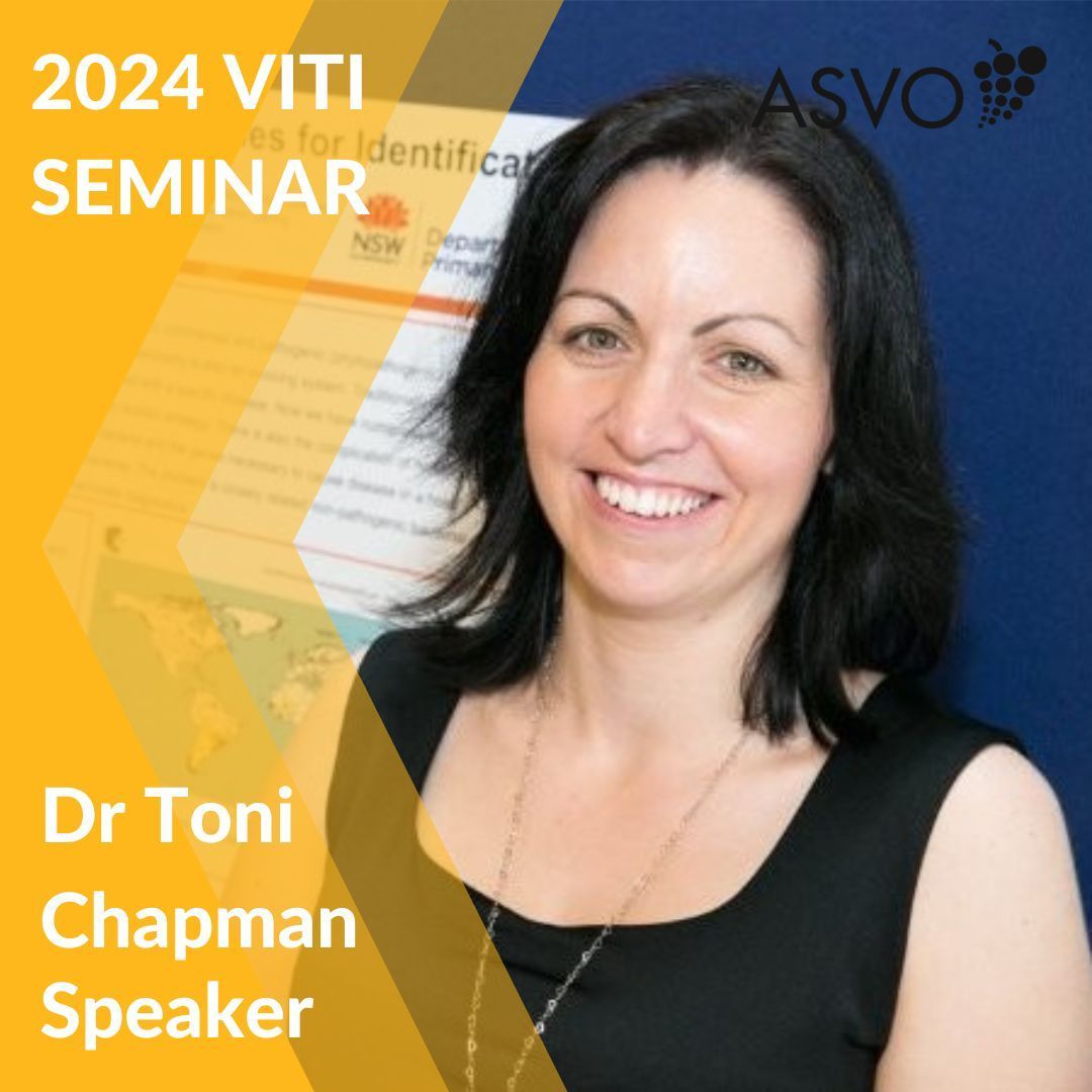 Toni Chapman's Instagram, Twitter & Facebook on IDCrawl