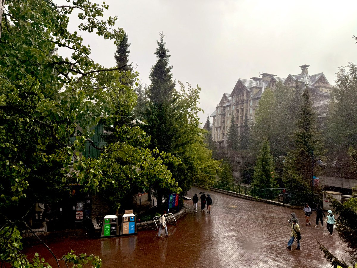 シーボ(@seabo) - Twilog (ツイログ)