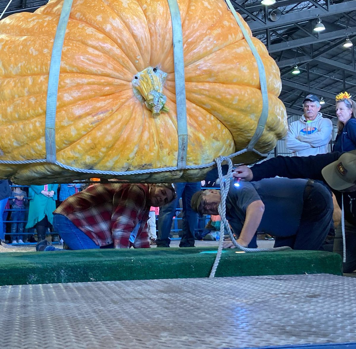 Tomas Pueyo's Threads – Thread Reader App