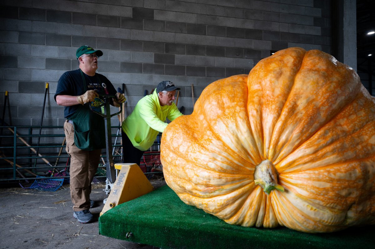 Tomas Pueyo's Threads – Thread Reader App