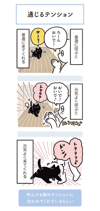 (5/13) | AKR｜7巻でたよ さんのマンガ | ツイコミ(仮)