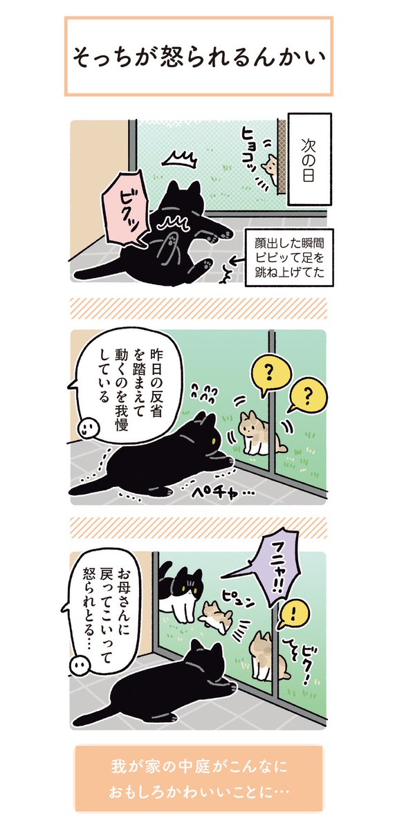 9/13) 」AKR@6巻でましたの漫画