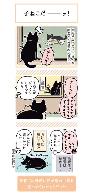 (12/13) | AKR｜7巻でたよ さんのマンガ | ツイコミ(仮)