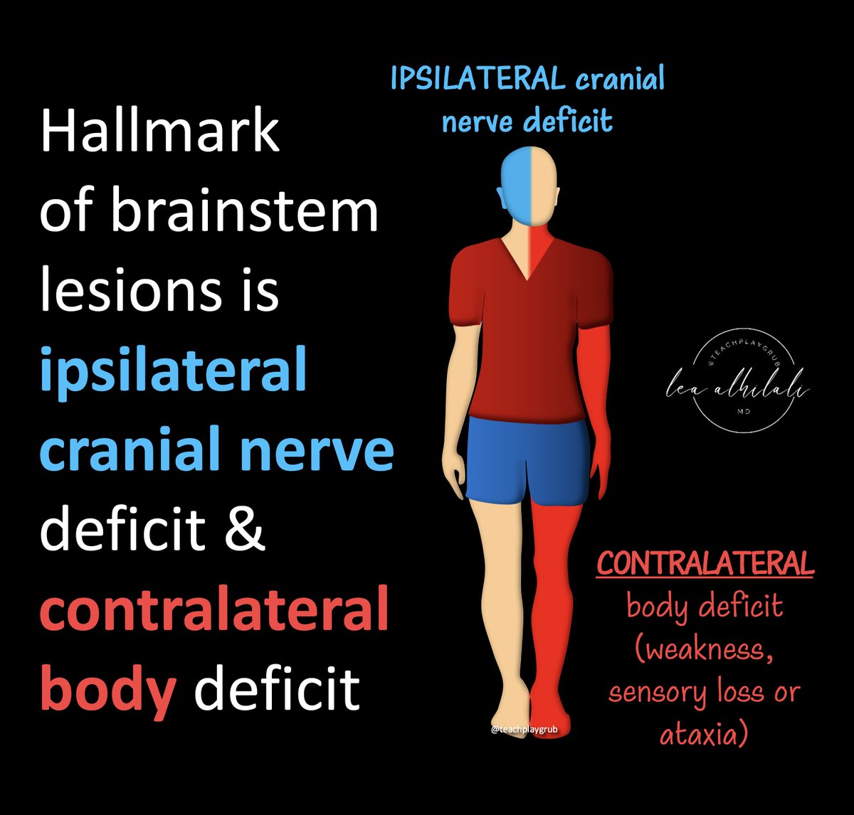 1/Do questions about brainstem anatomy cause you to suddenly get a case ...