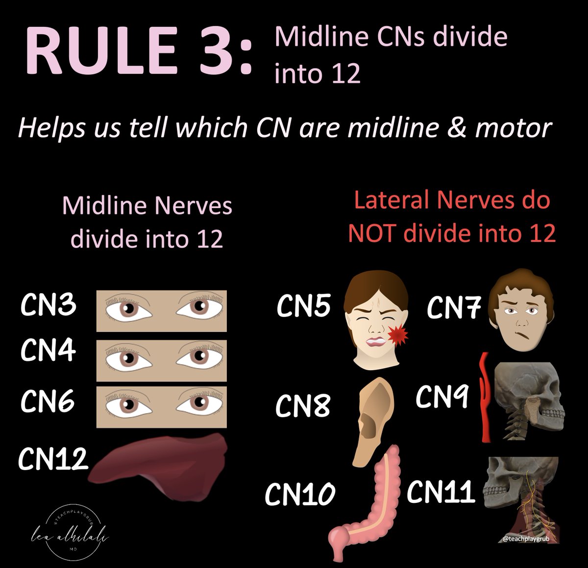 1/Do questions about brainstem anatomy cause you to suddenly get a case of locked in syndrome ...