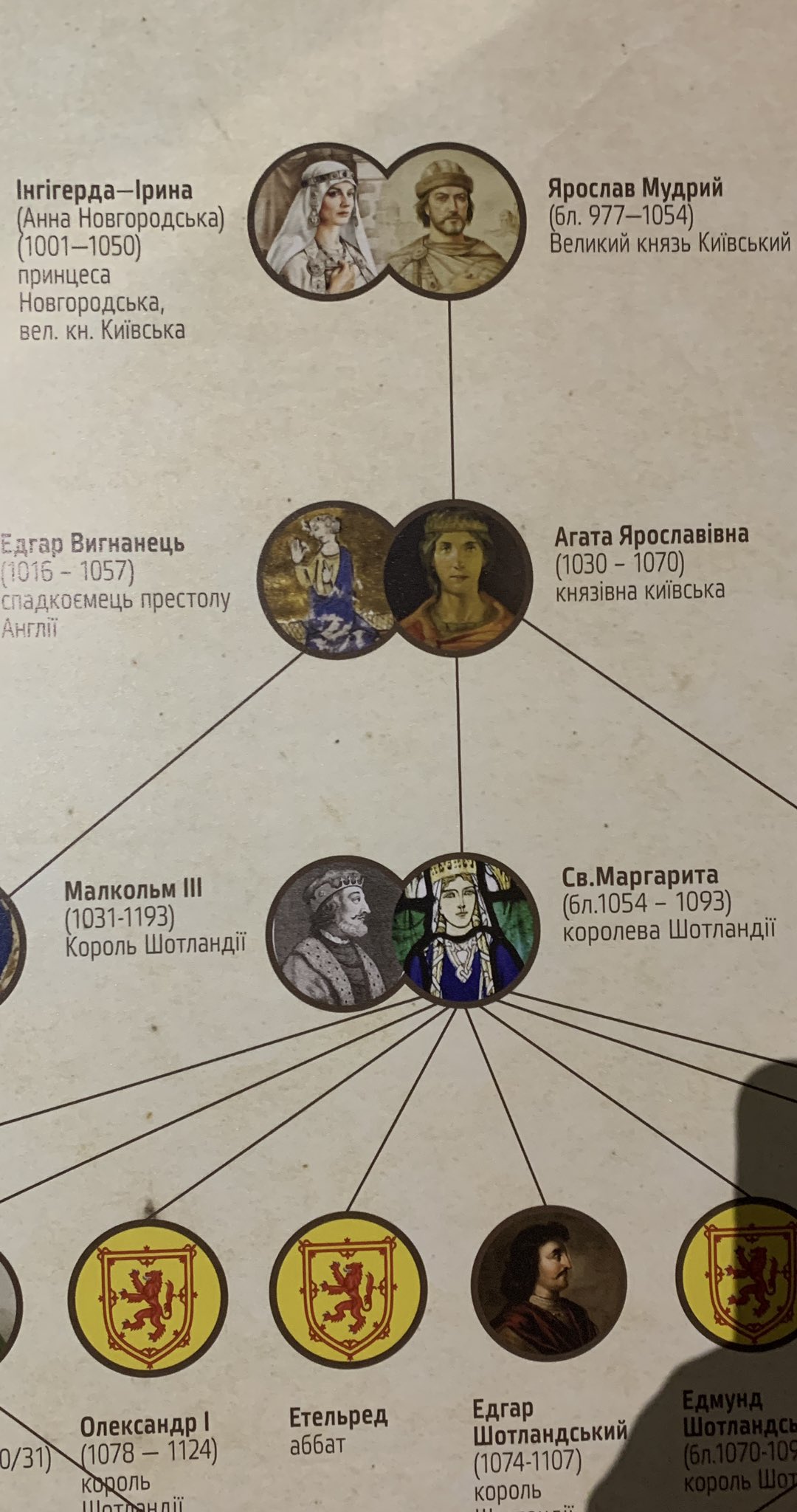 Ivan The Terrible Family Tree My Family Tree