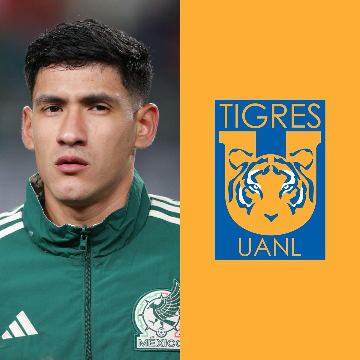 Alfonso Pinto's Instagram, Twitter & Facebook on IDCrawl