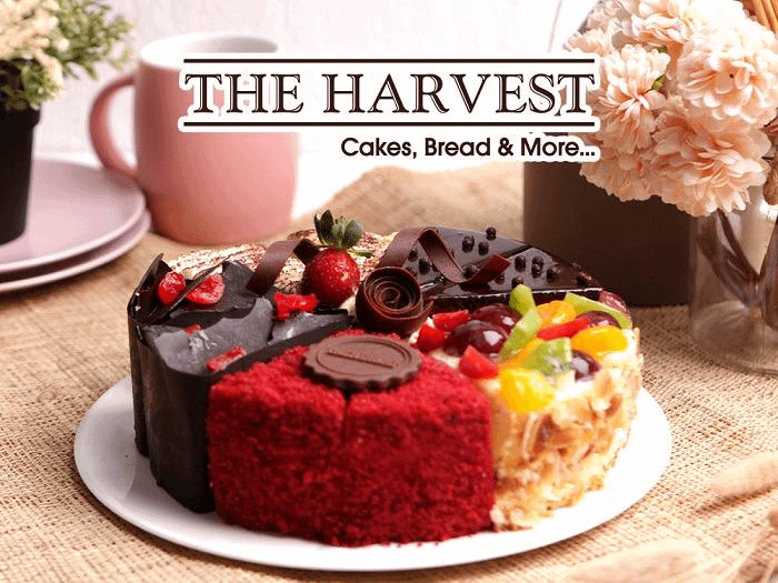 Belajarlagi's Threads – Thread Reader App