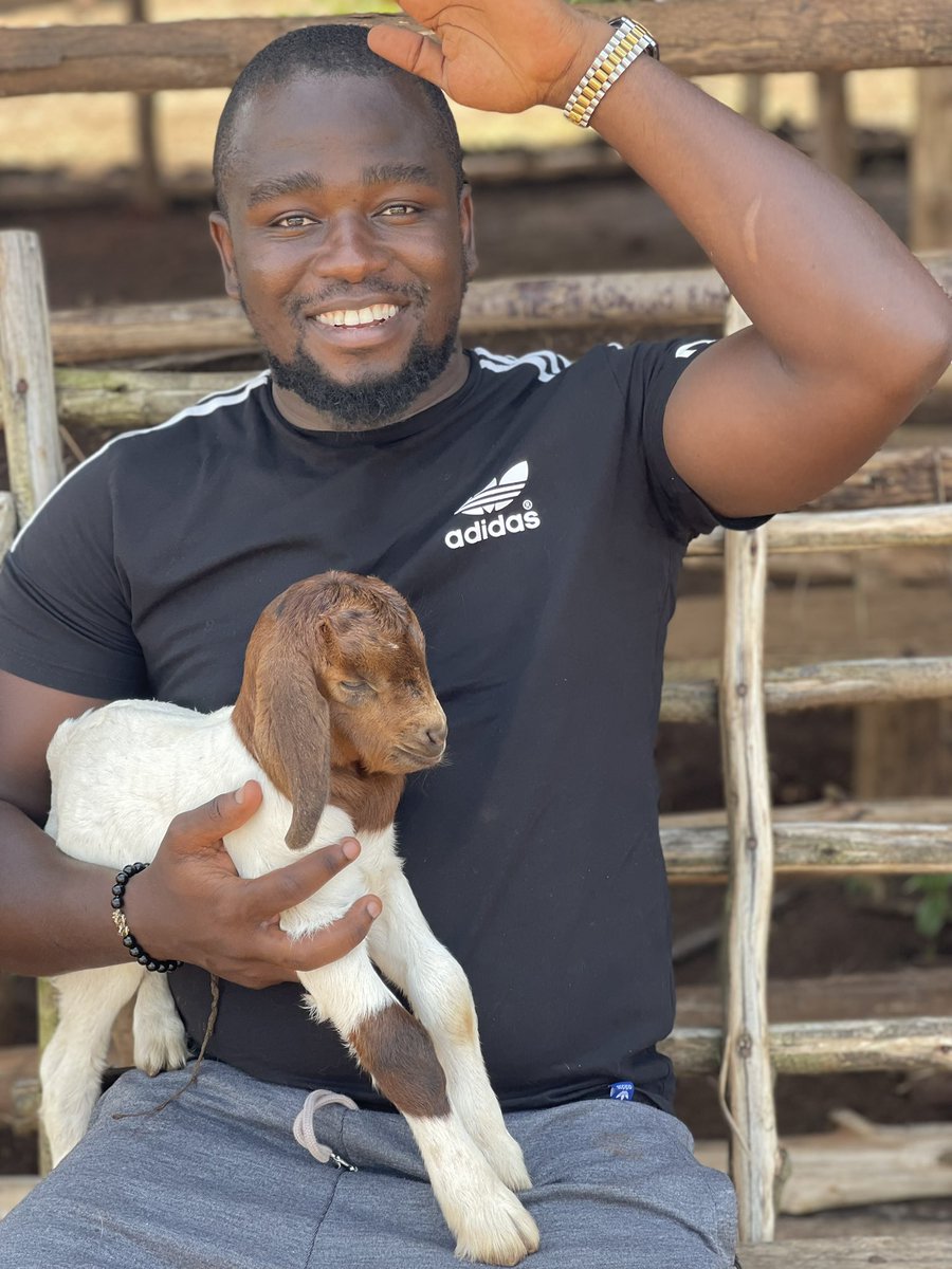 CHALLENGES INVOLVED IN GOAT FARMING: Well Raising goats can be a ...