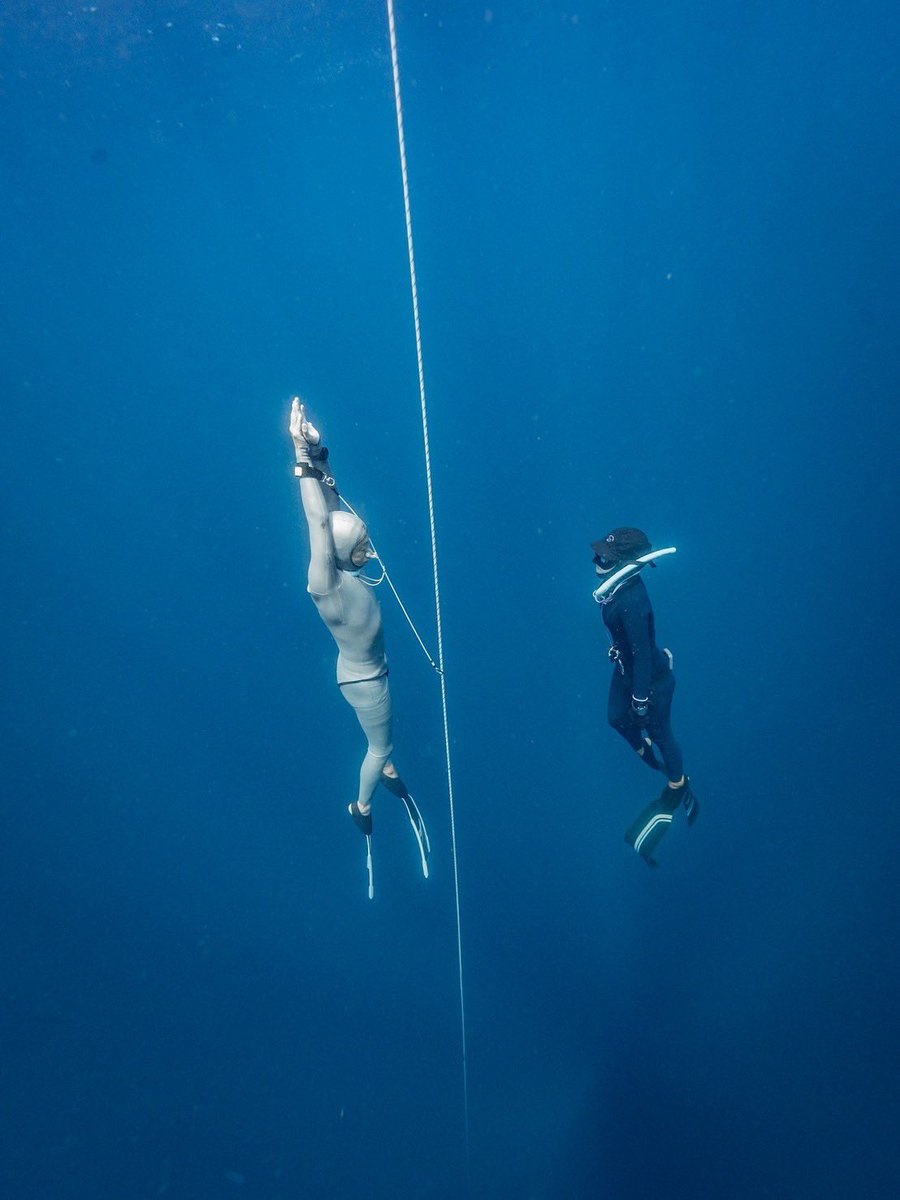 本橋へいすけ(@heisuke335) - Twilog (ツイログ)