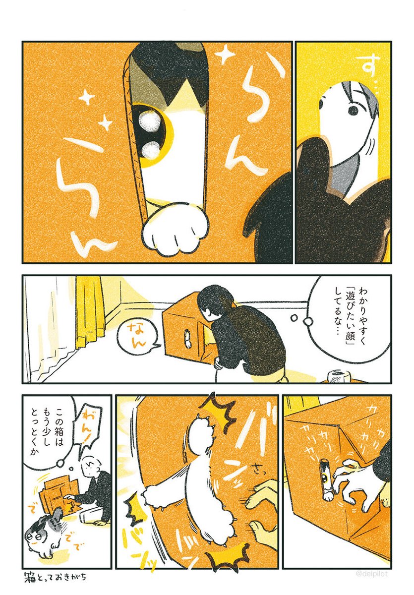 「押入れ探検が好きな猫 」ふじひとの漫画