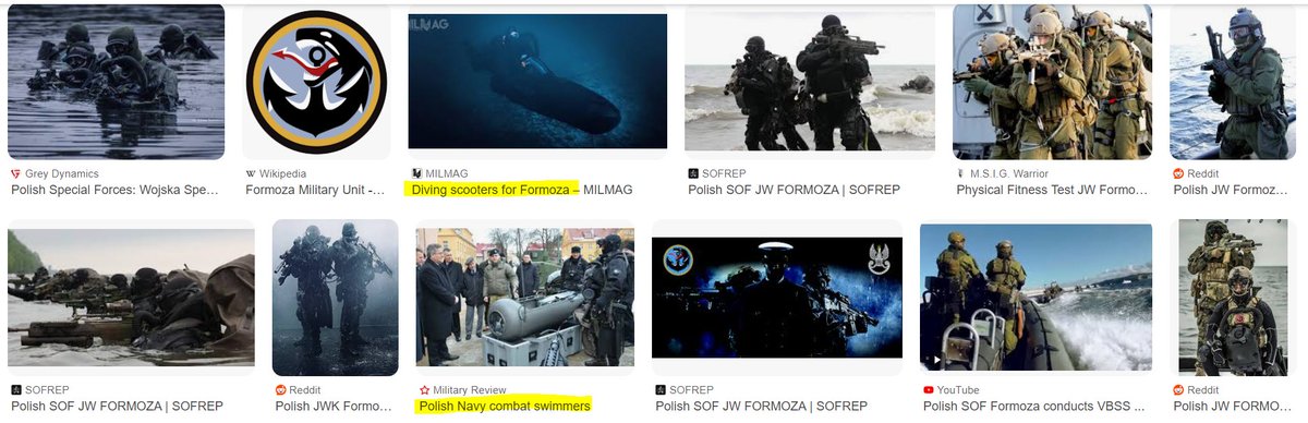 636. German Authorities Investigators concluded that professional ...