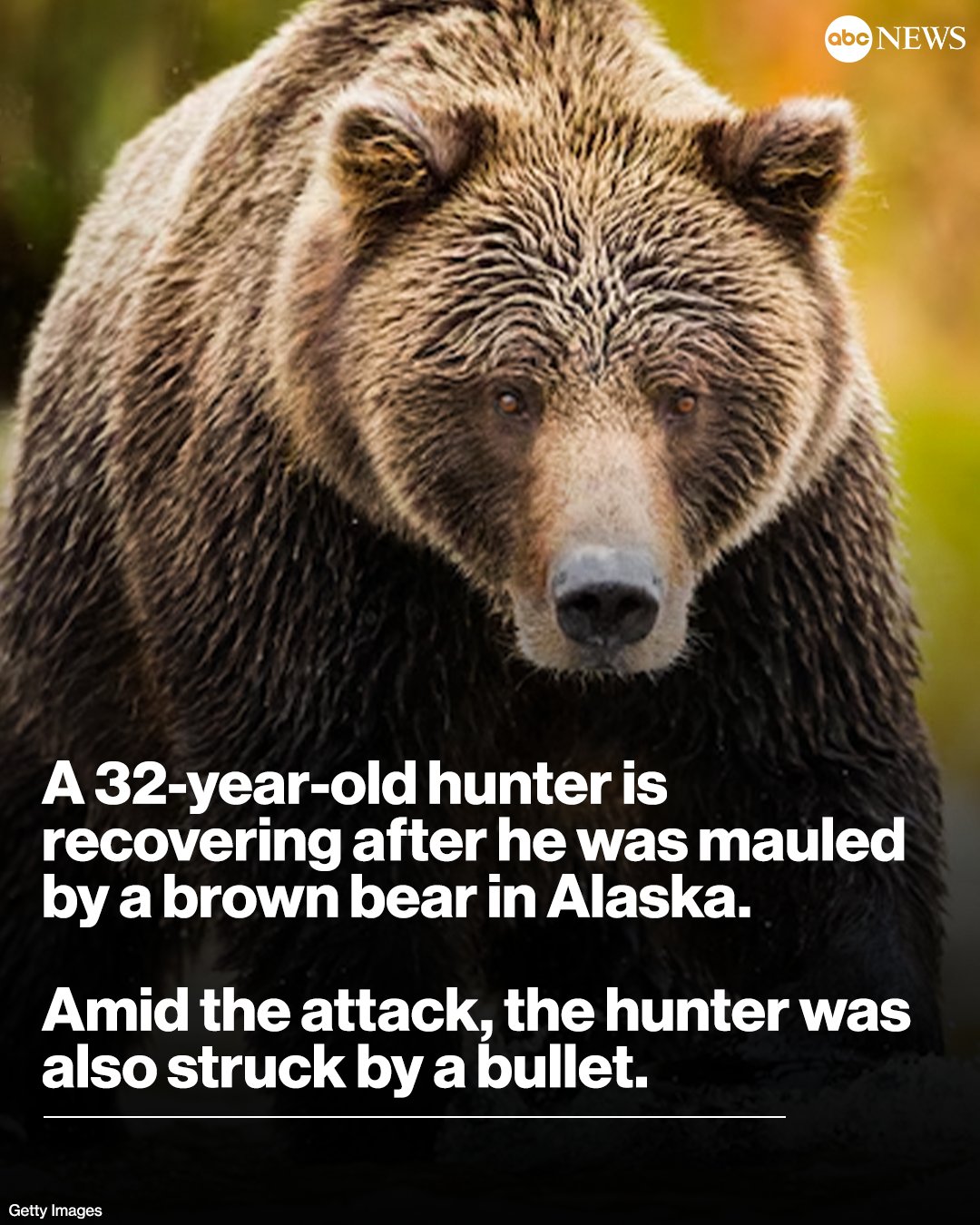 Bear Hunter Memes