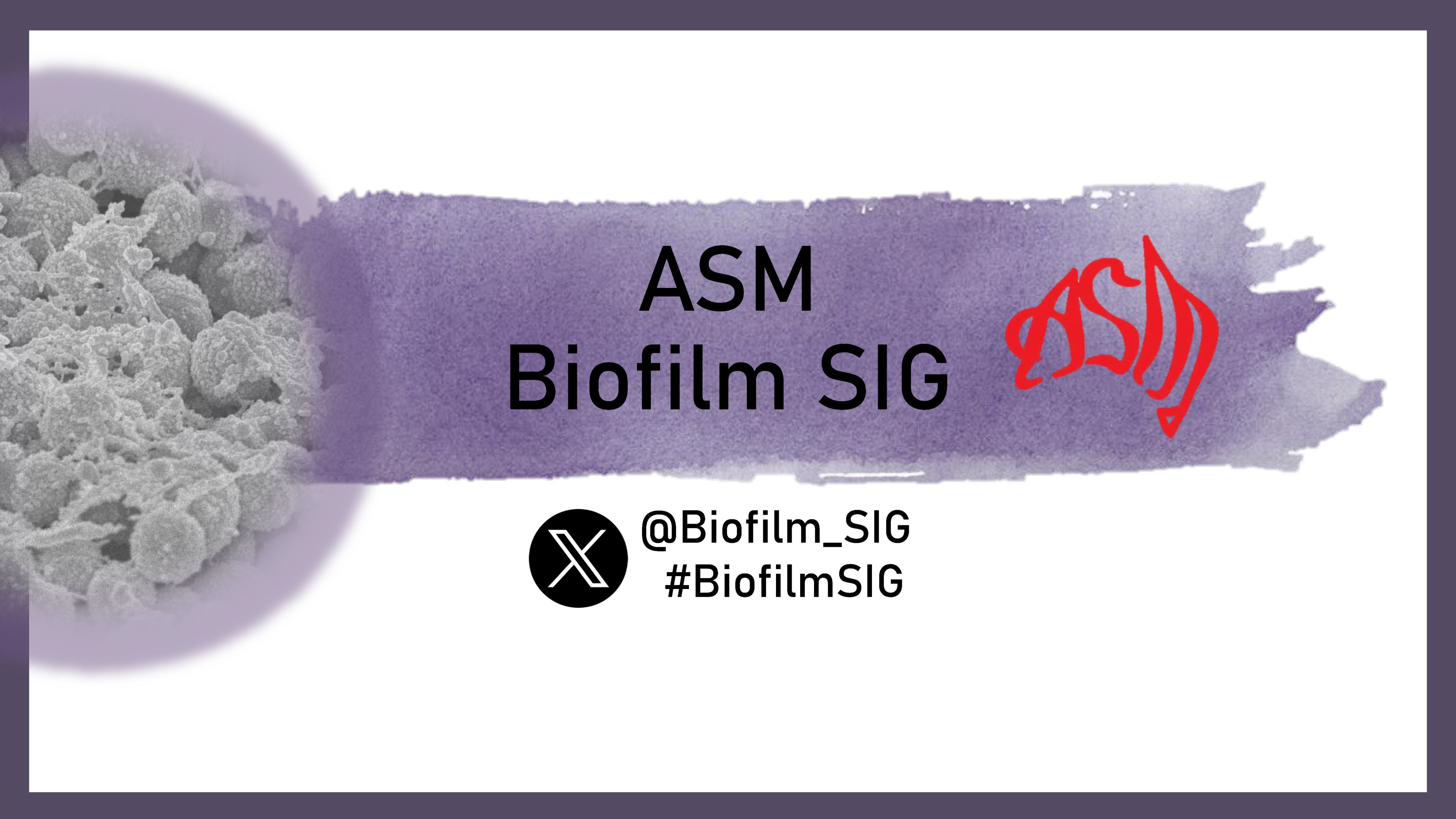 Biofilm Logo