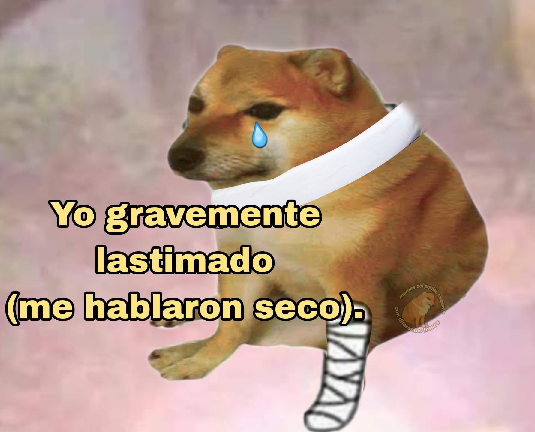 Soy Seco Memes Meme Bebe Exitoso Soy Seco Jaja 30904079