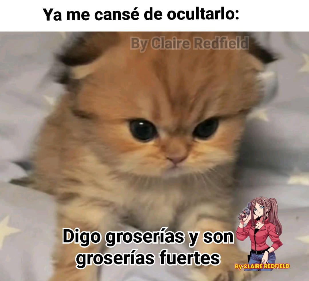 Memes De Groserias Pingüinos Groseros
