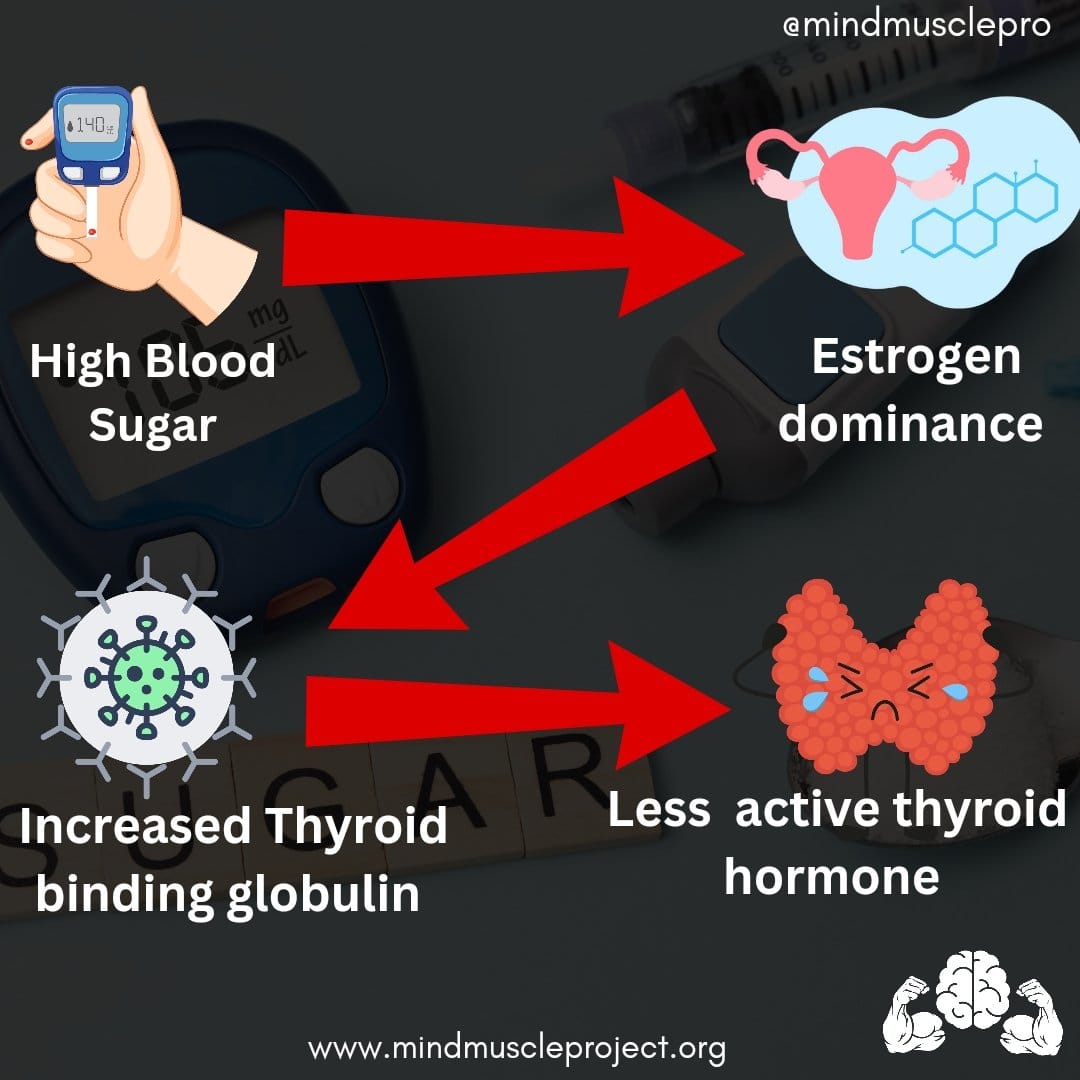 𝗛𝘆𝗽𝗼𝘁𝗵𝘆𝗿𝗼𝗶𝗱𝗶𝘀𝗺 Thyroid gland is the one of the most important organs in ...