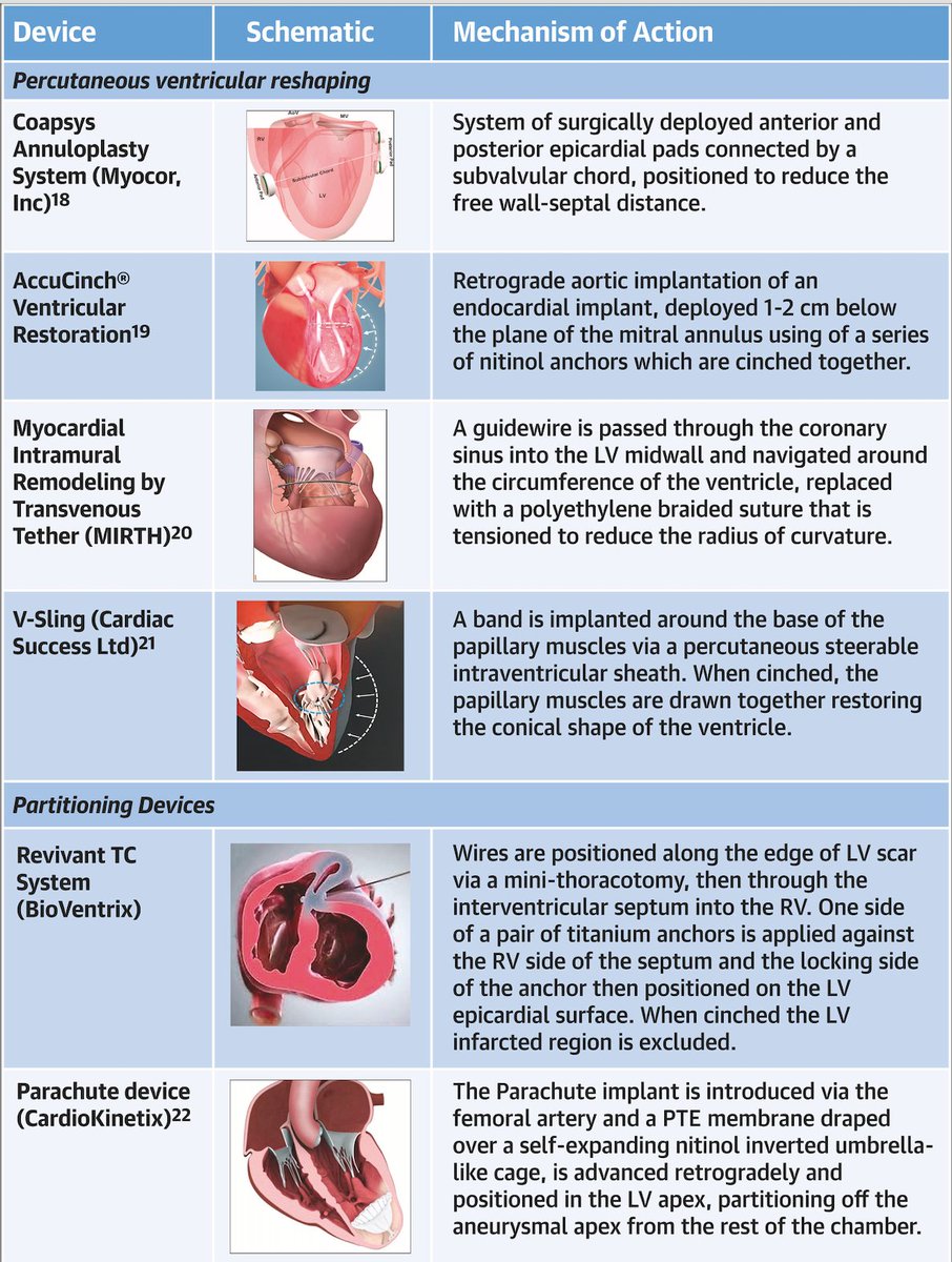 Structural Cardiac Interventions in Patients With Heart Failure ...