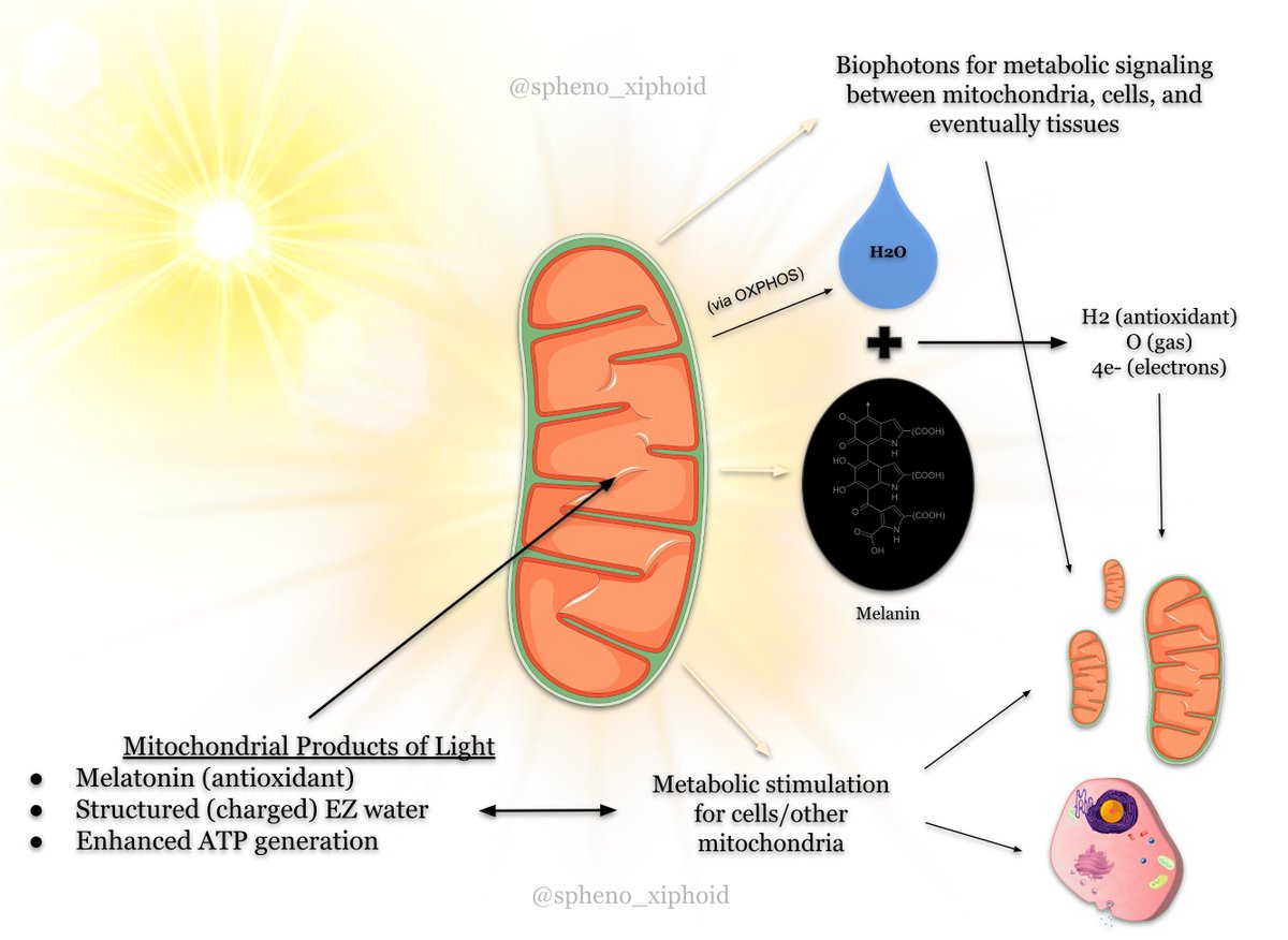 CO2 + T3 + B1's Threads – Thread Reader App