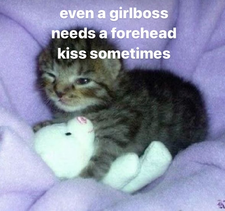 Forehead Kisses Meme