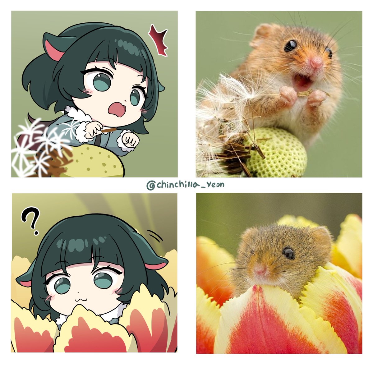 「반디! 합작입니다~ #스타레일 #반디 #HonkaiStaRrail #FireFly @PT_CROW -」然 先生 (연 선생님)の漫画