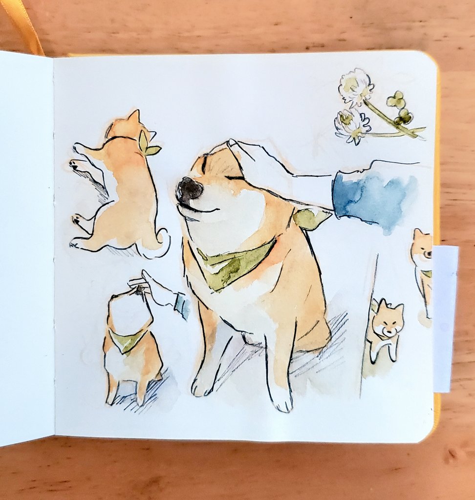 鹿野山(@tanutanu_pnpk) - Twilog (ツイログ)