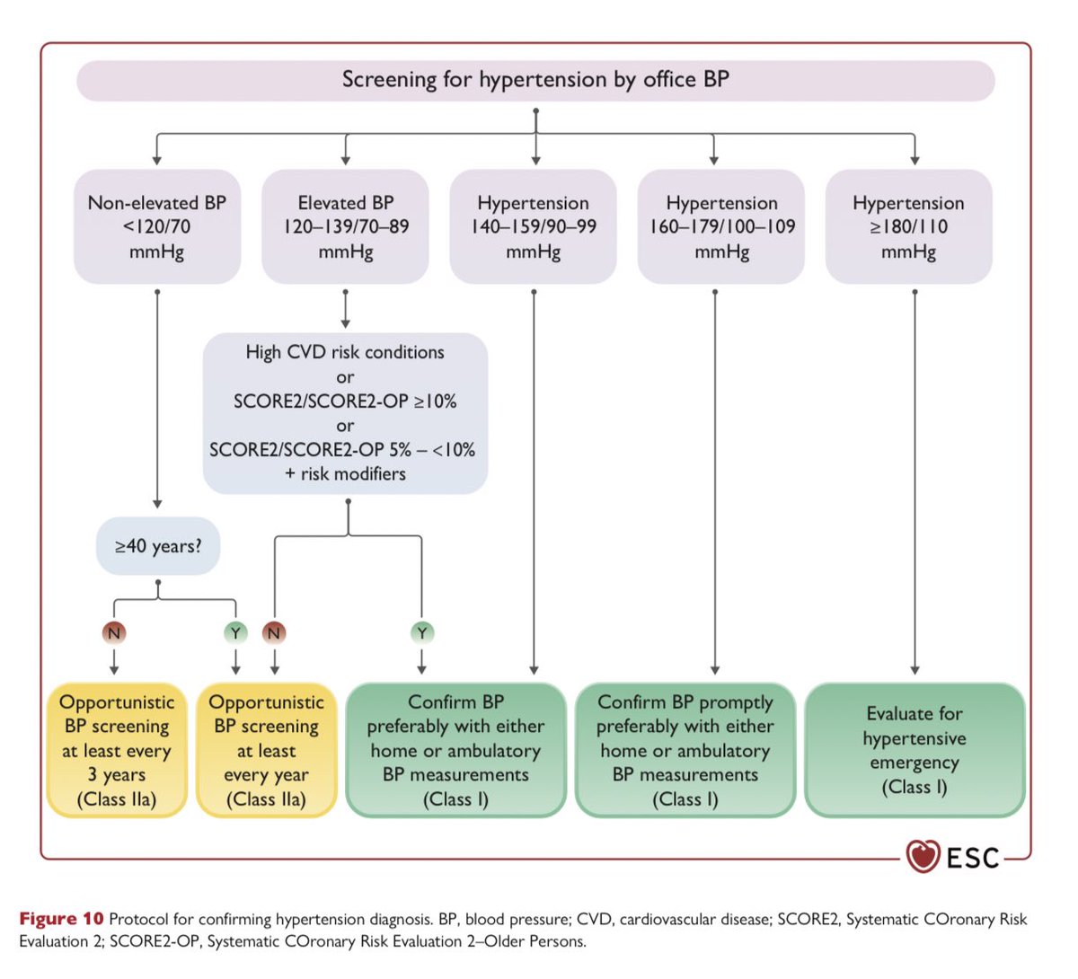 ACT trial : Acetylcysteine does not reduce the risk of contrast-induced ...