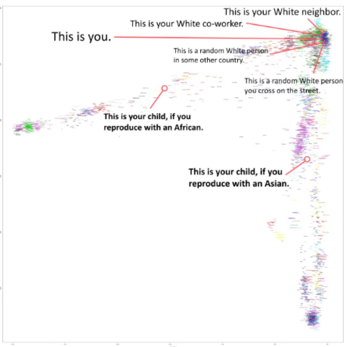 🧬 “It takes only an instant of miscegenation to scramble them up again ...