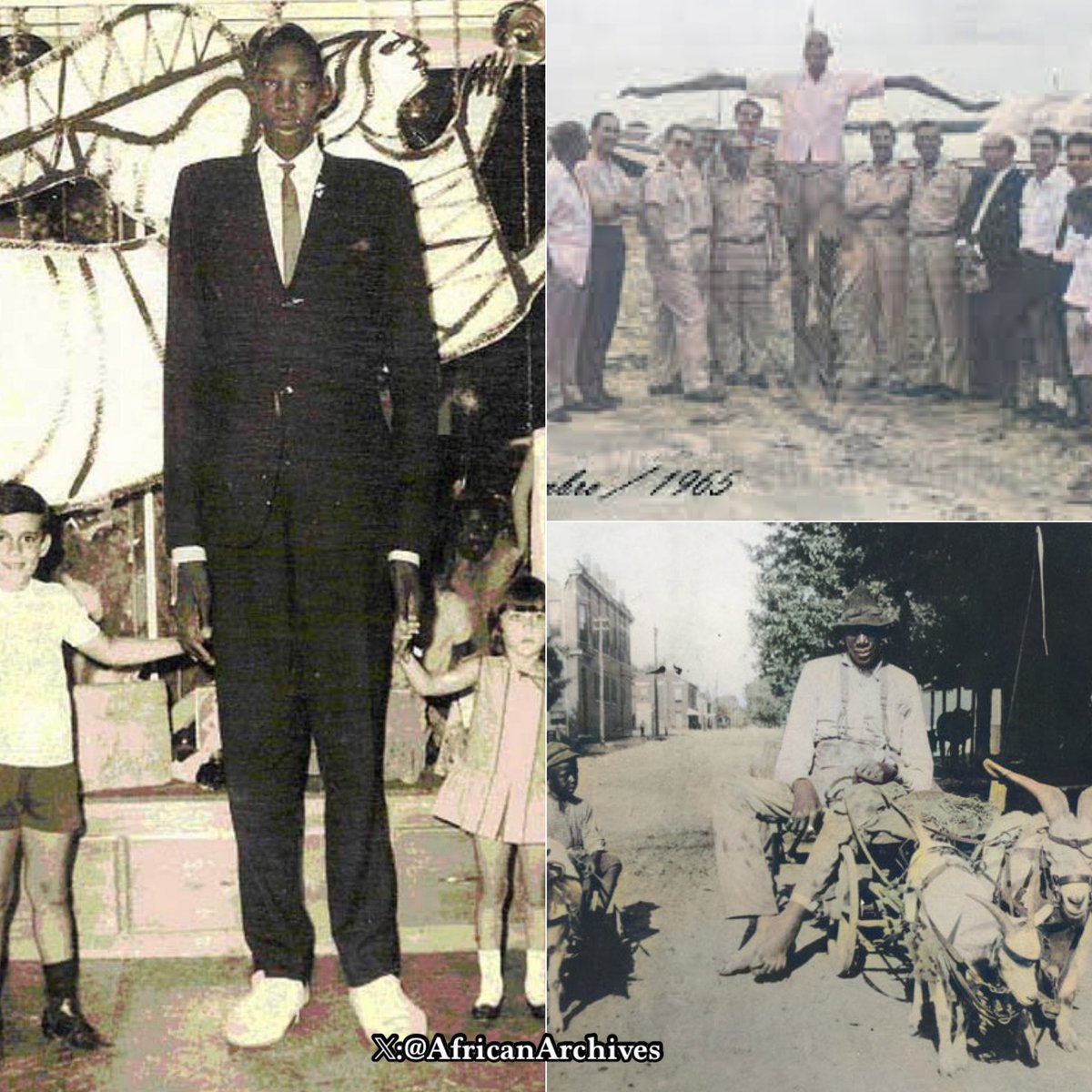 William Rogan's Instagram, Twitter & Facebook on IDCrawl