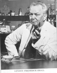 De ser sintetizado como alternativa a la adicción de morfina a usarse ...