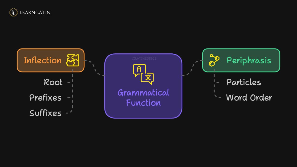 Brevitas — Why Is Latin Shorter Than English? An Illustrated Guide To ...