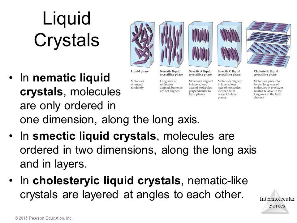 The Human Body as Liquid Crystal: A Gateway to Infinite Possibilities ...