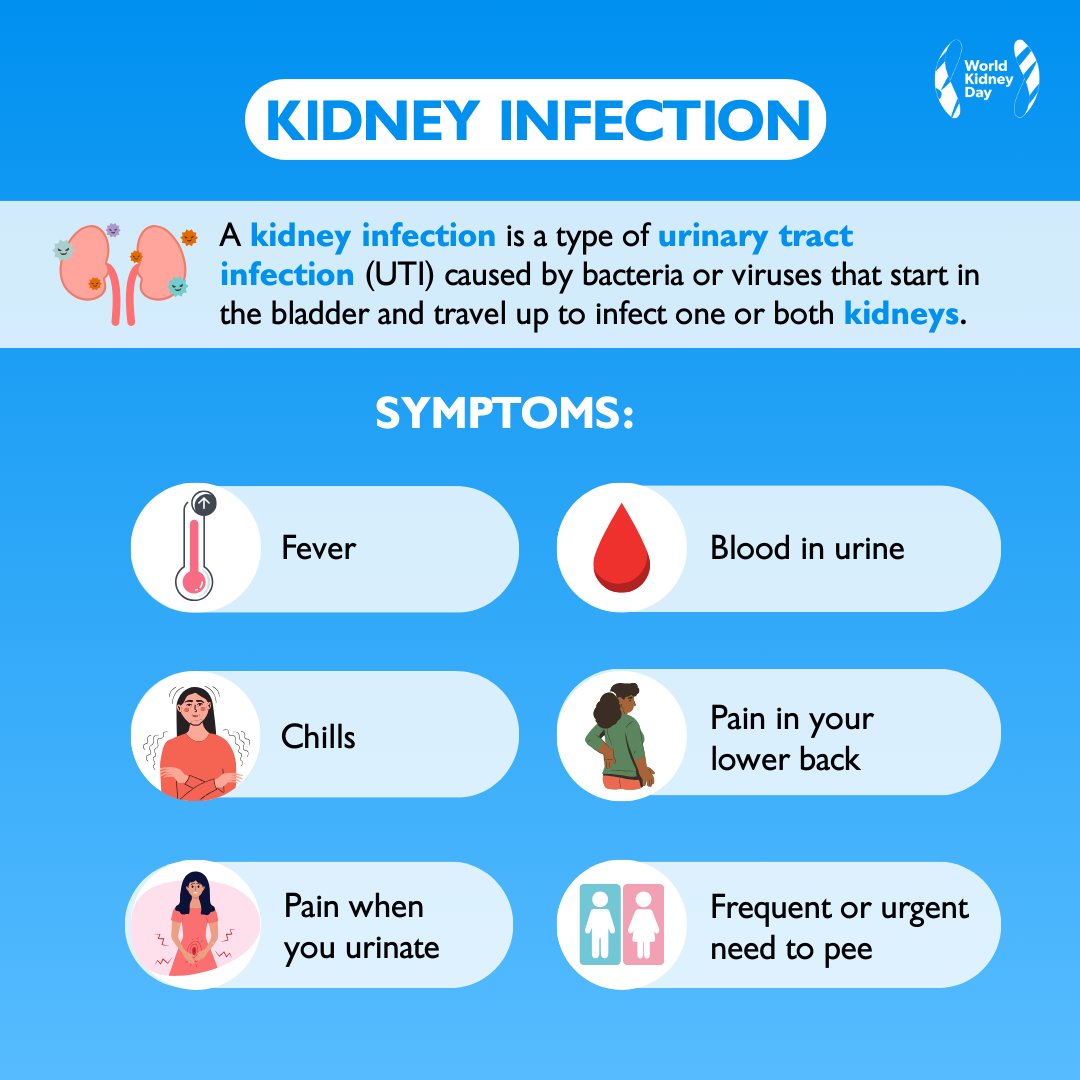 Kidney Infection Pain Location Nuffield Medical Understanding Kidney