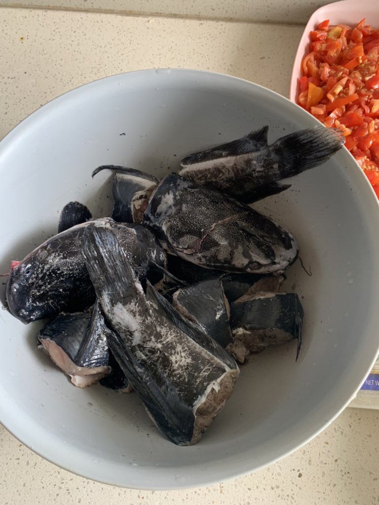 Cat fish lovers🤭👋 Let’s make catfish sauce. You may try this out, if ...