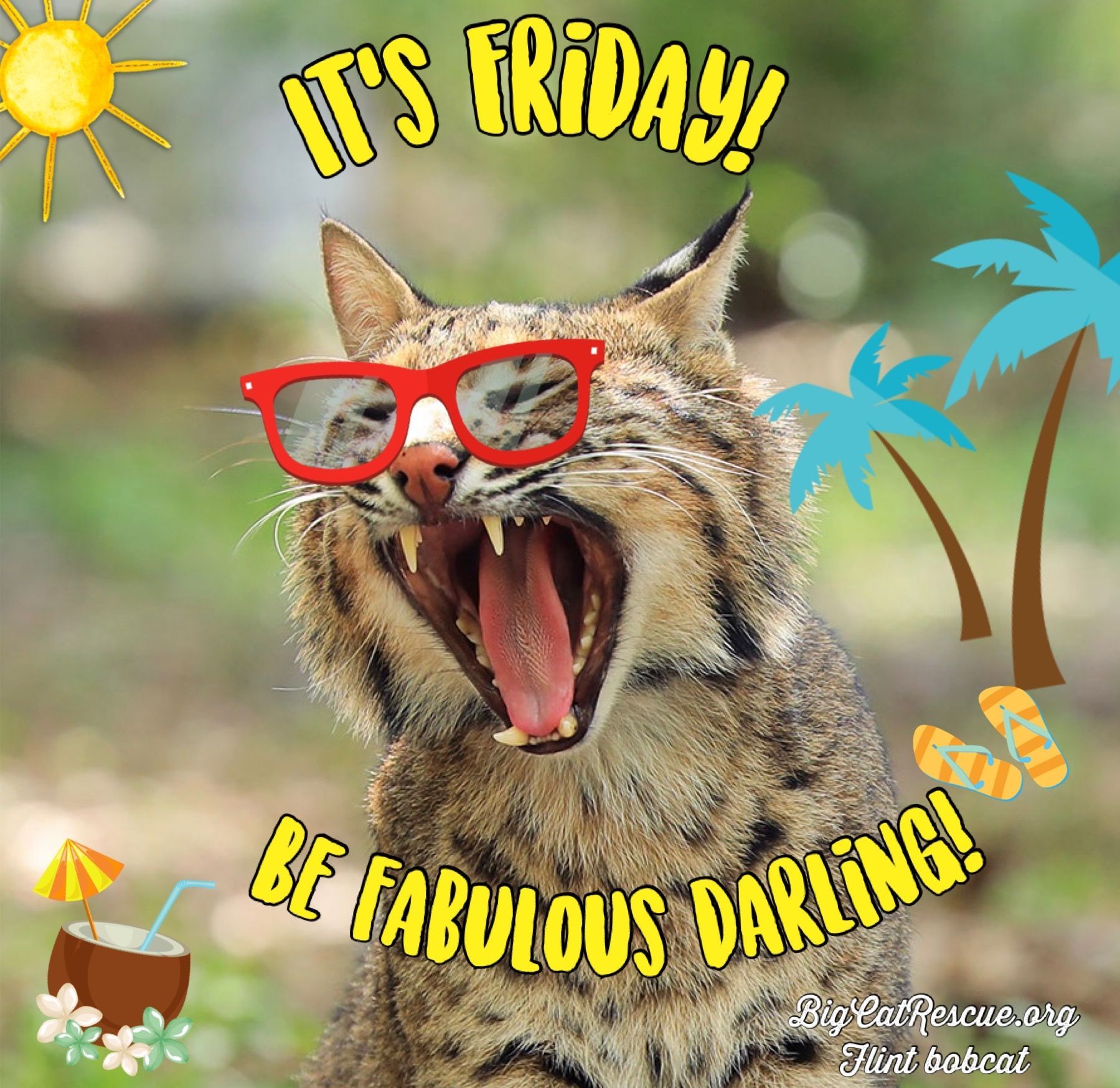 Fabulous Friday Meme 10 Fab Friday! Ideas | Its Friday Quotes, Friday,