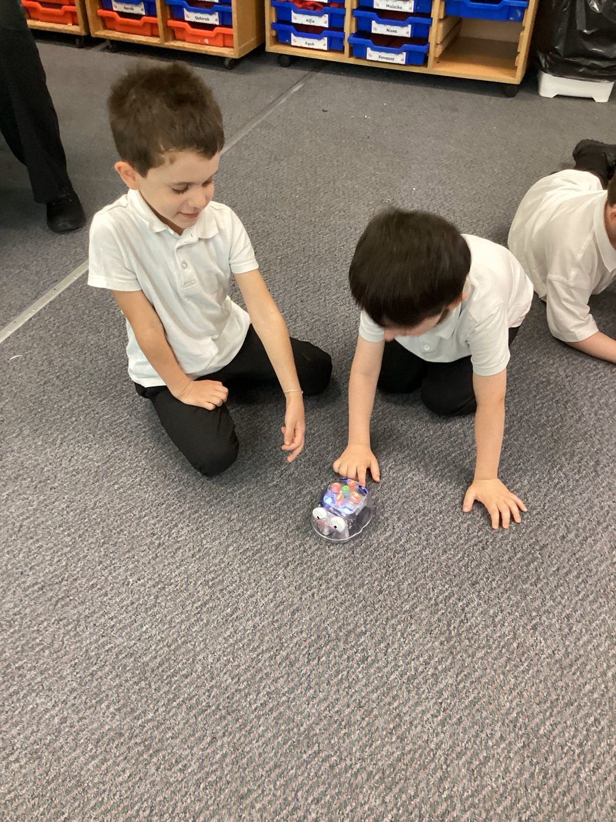 Home - Cobden Primary School