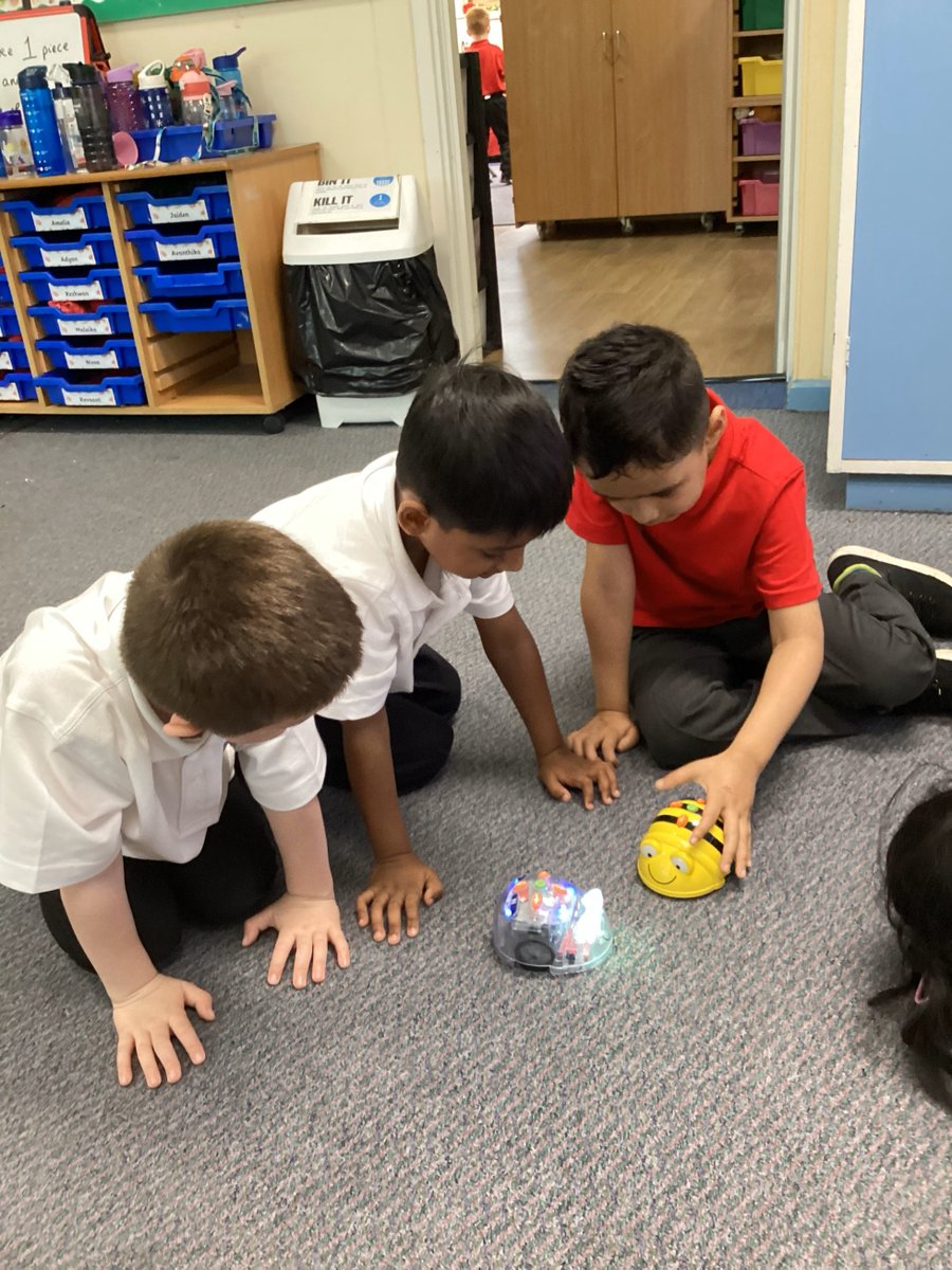 Home - Cobden Primary School