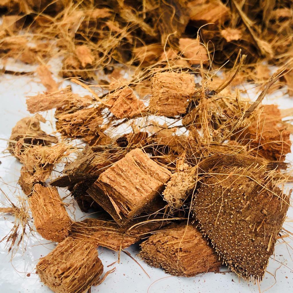 For your TOOTHACHES, boil coconut husks for 20mins, allow it to cool ...