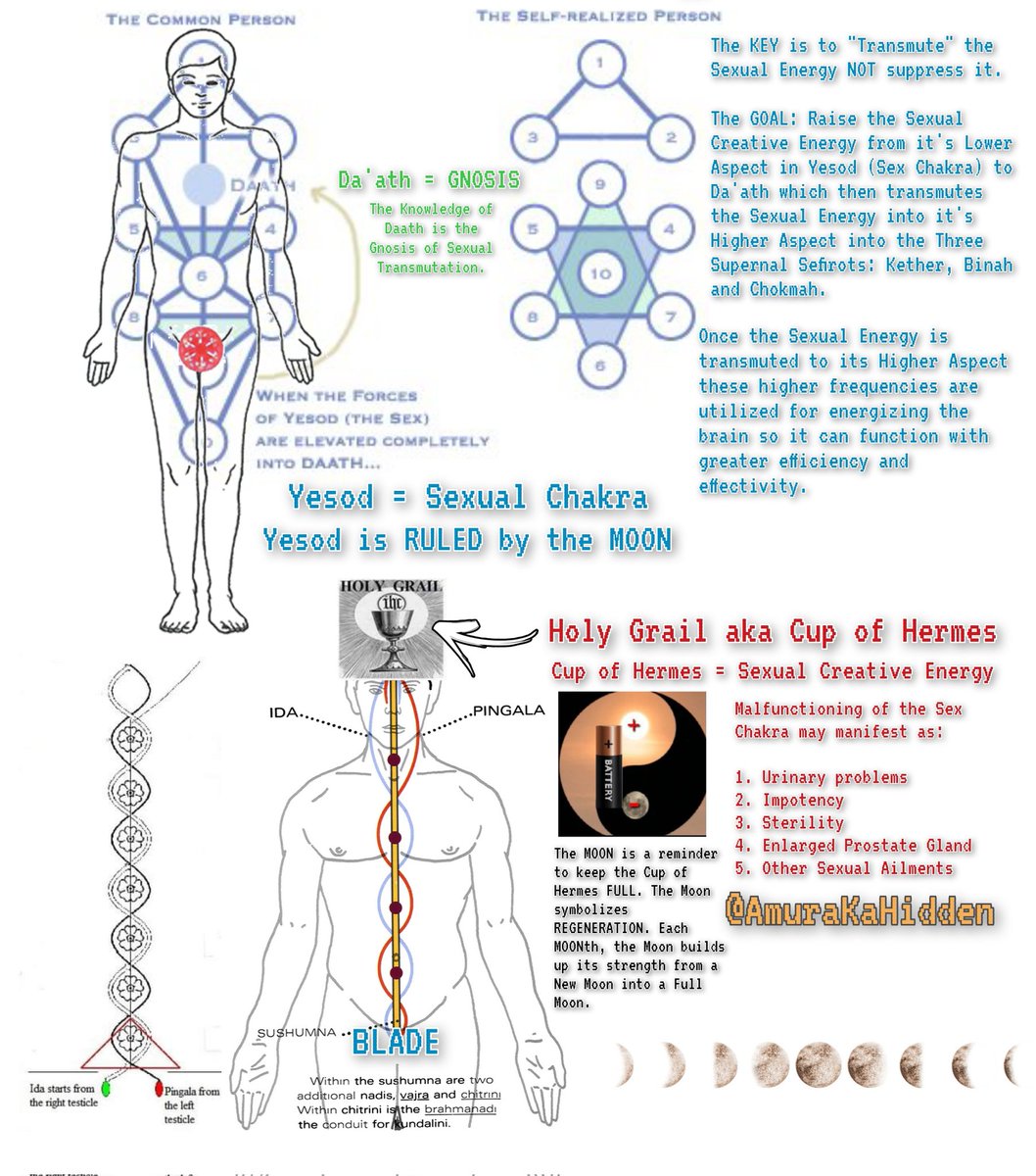 Thread by @AmurakaHidden on Thread Reader App – Thread Reader App