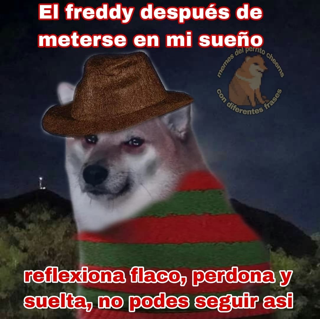 Memes Flacos