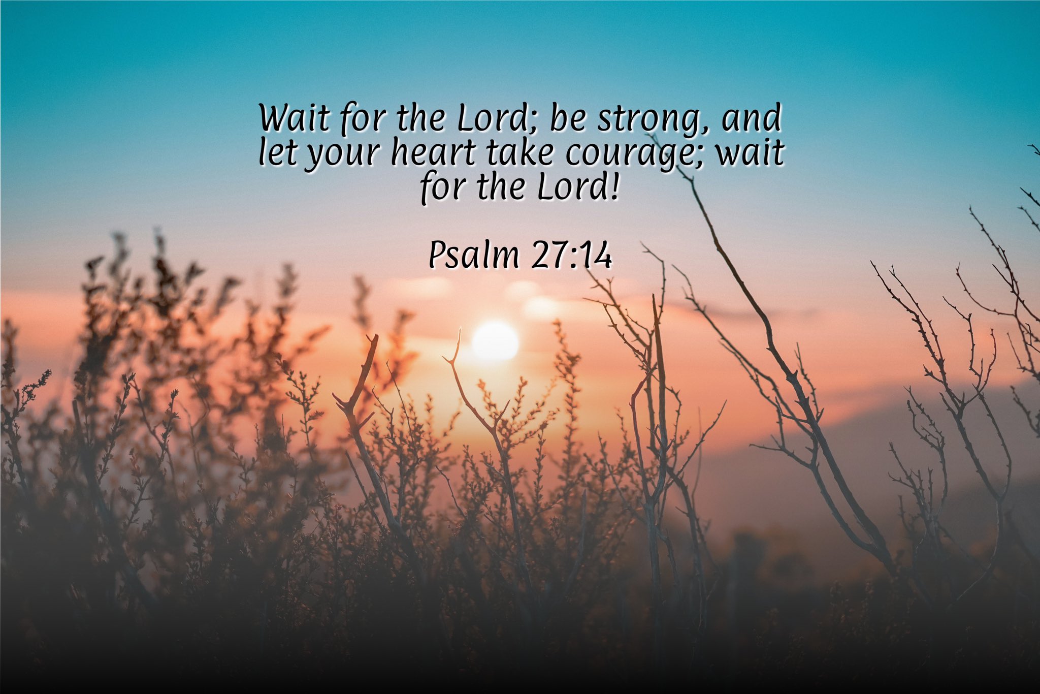 Psalms Courage Quotes