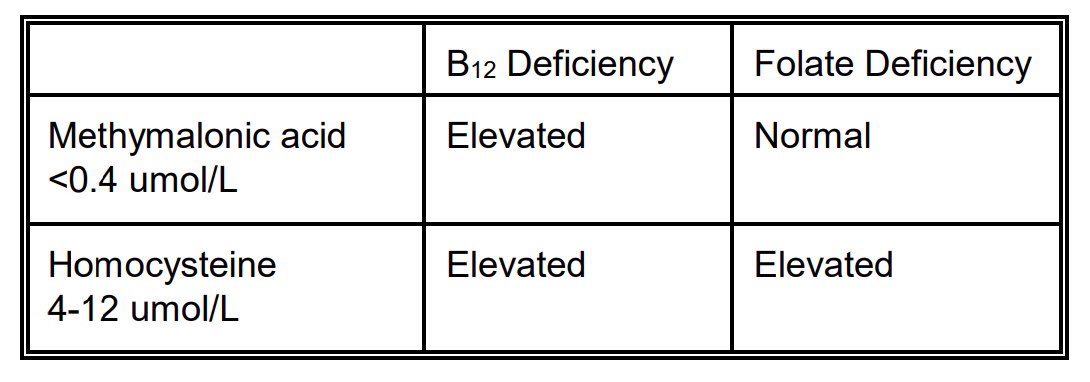 🩸 B9 and B12 Causing Macrocytosis 🩸 Whenever we see a macrocytic or ...