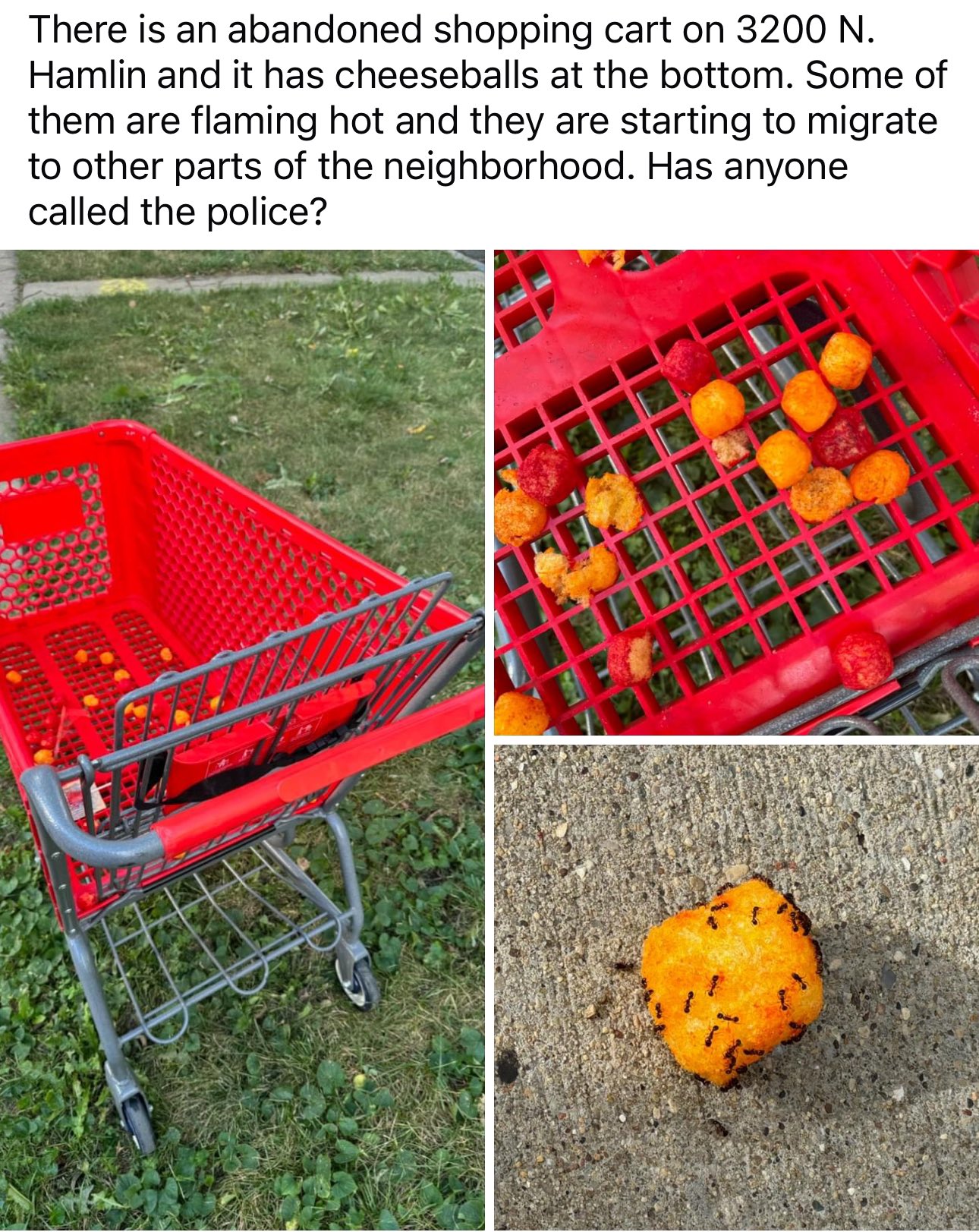 Target Basket Memes MEME GALLERY] The Nightcap The Funniest Memes