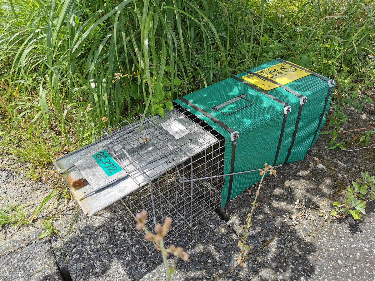 Ryusuke IMURA(@tigers_1964) - Twilog (ツイログ)