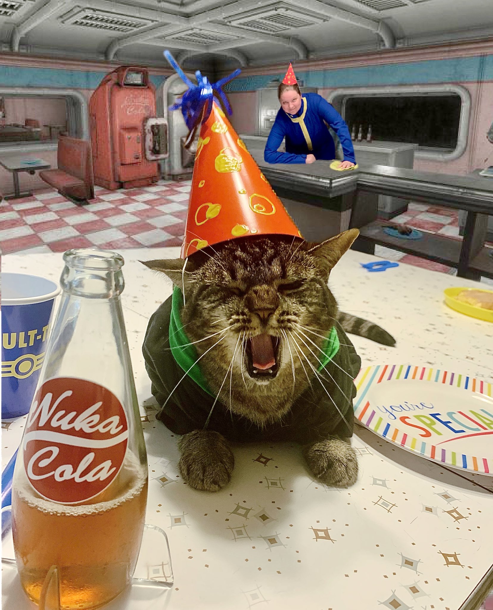 Happy Birthday Fallout Memes 45 Fallout New Vegas Ideas | Fallout New