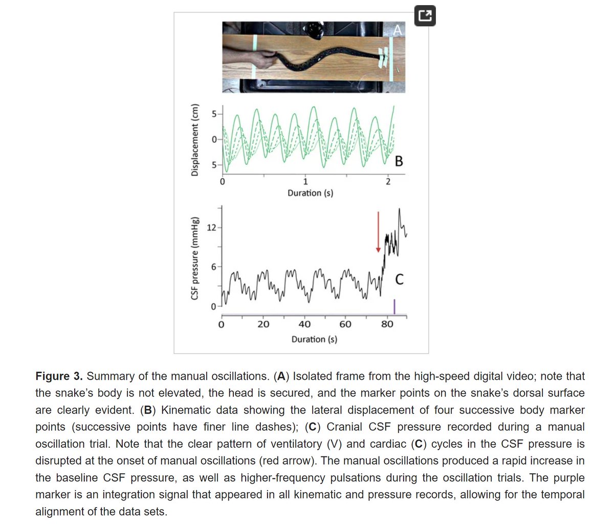 CO2 + T3 + B1's Threads – Thread Reader App