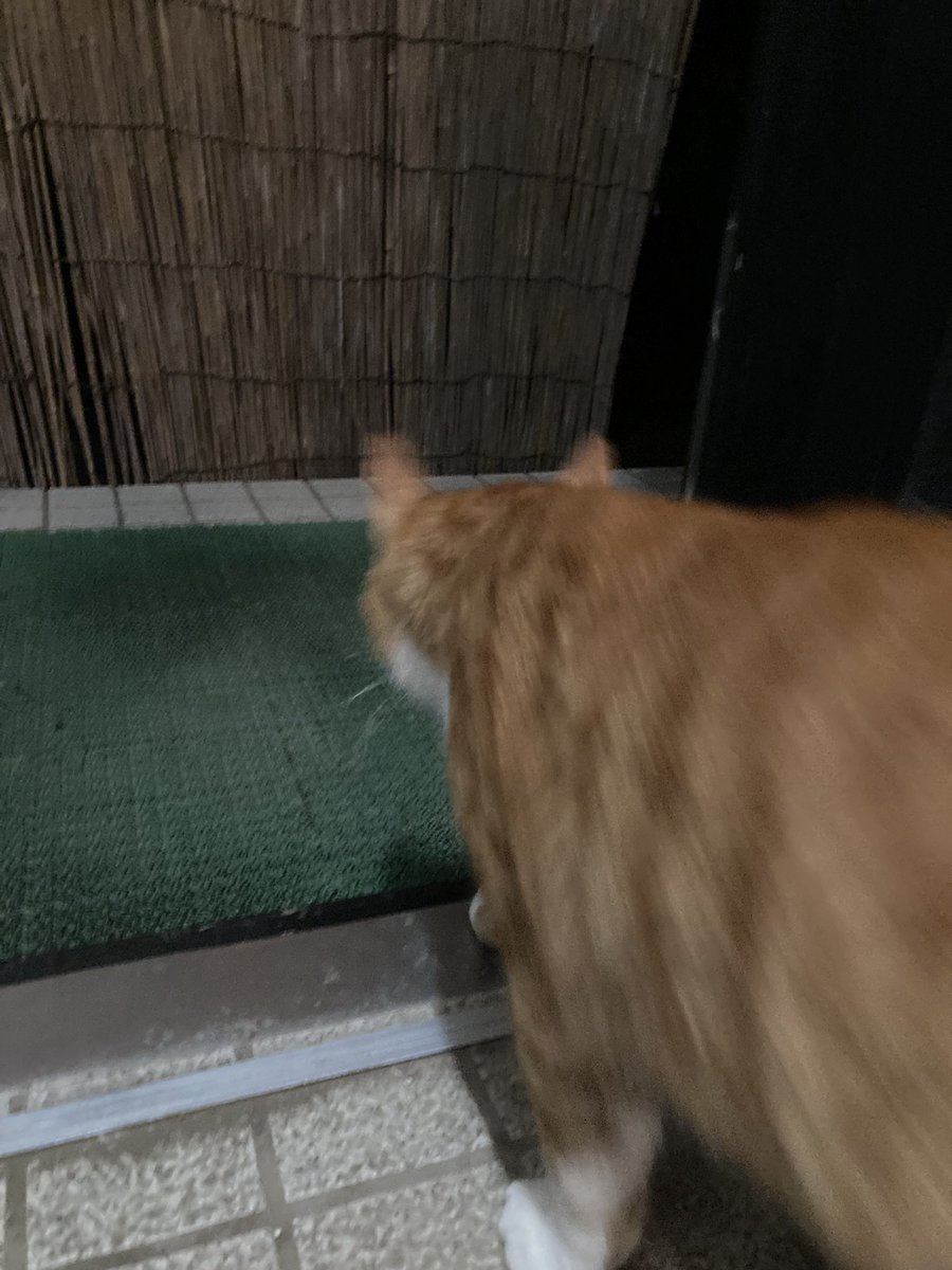 古籏一浩(@openspc) - Twilog (ツイログ)