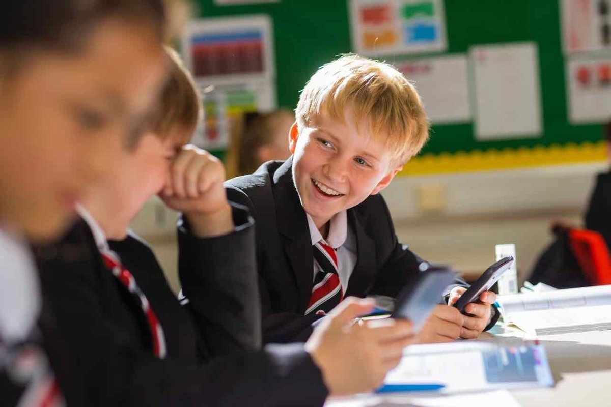 The Bulmershe School